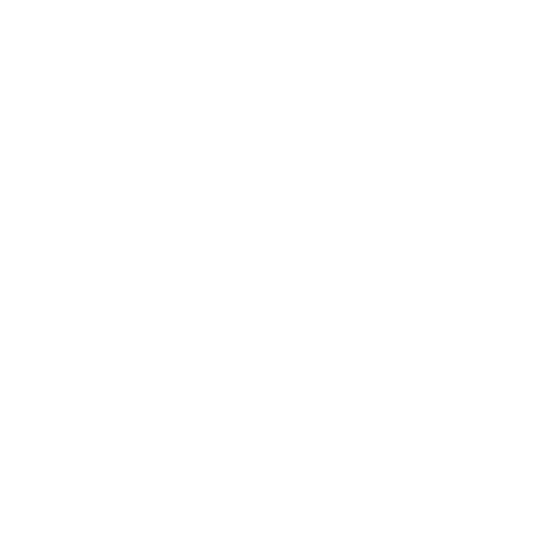 Boot Decals – Florida Cracker Style
