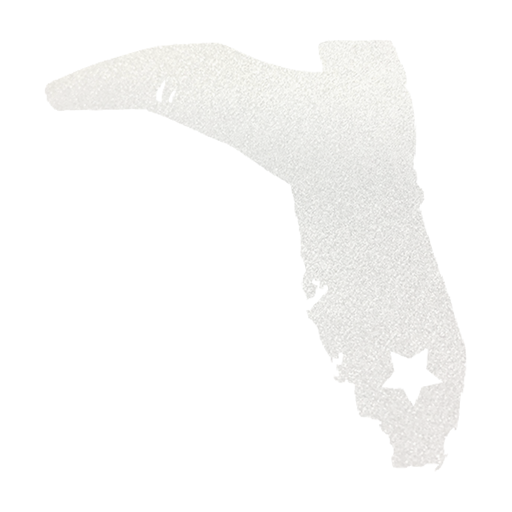 REFLECTIVE SILVER DECAL – Florida Cracker Style