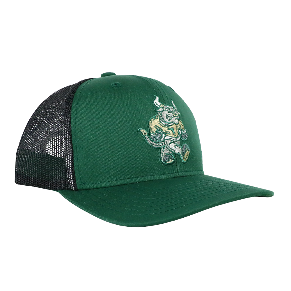 BULL TAILGATE SNAPBACK - TAMPA DARK GREEN/CHARCOAL – Florida Cracker Style